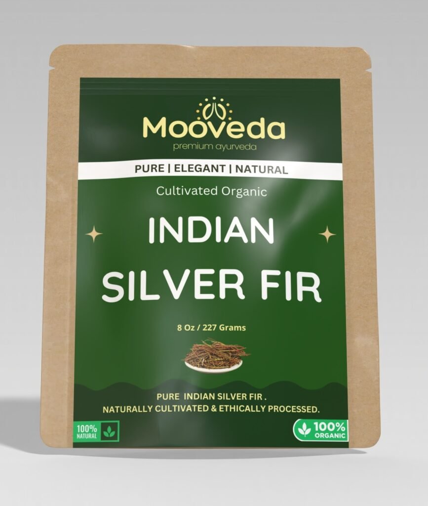 Indian Silver Fir / Thalisapathiri - Mooveda